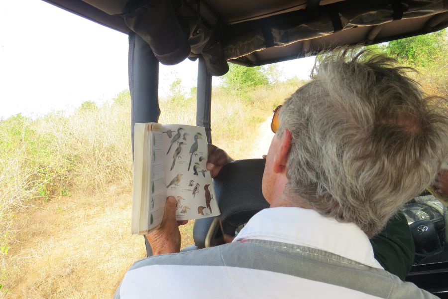 Mahoora Tented Safari Camps at Udawalawe National Park Sri Lanka