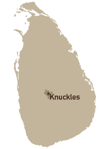 Explorer by Mahoora Camps at Knuckles mountain range Sri Lanka